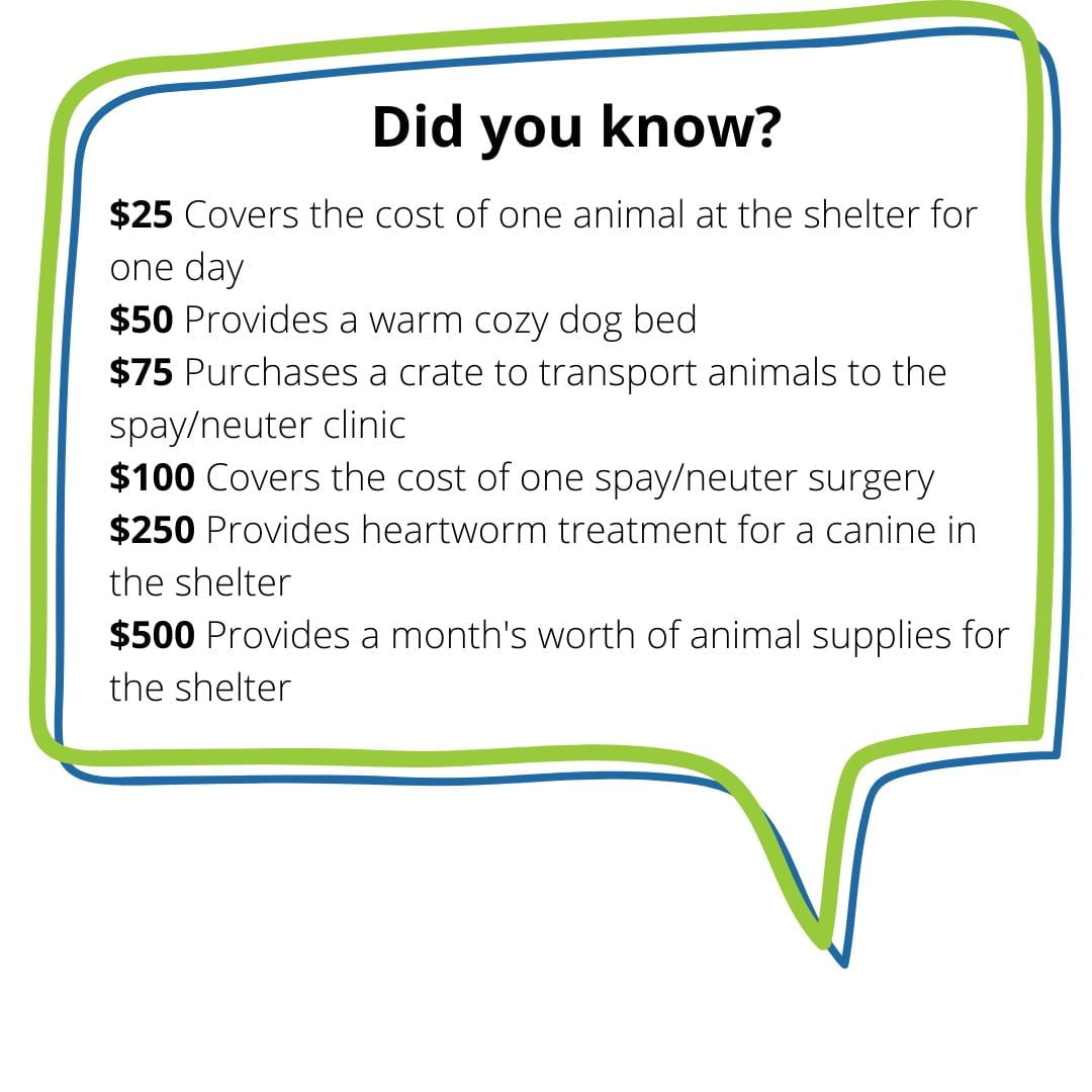 Wish List/In Kind Donations | Humane Society of Charlotte