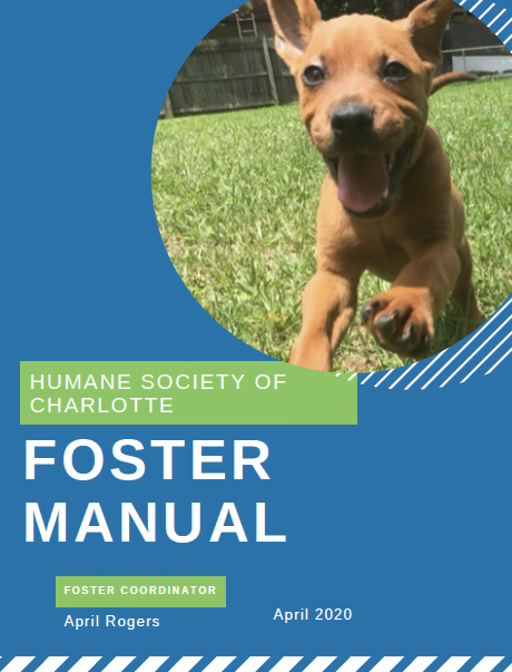 Virtual Foster Orientation | Humane Society of Charlotte