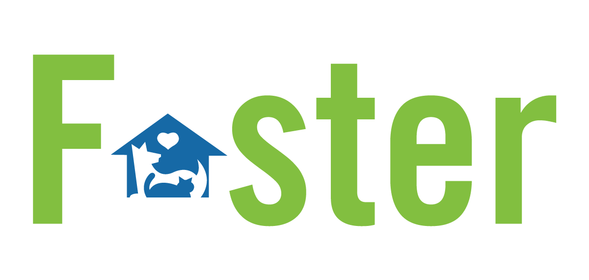 Charlotte Foster Cats & Dogs | Humane Society of Charlotte