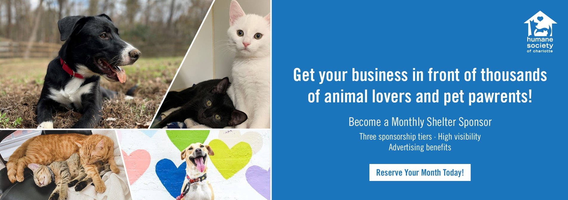 Become a Shelter Sponsor | Humane Society of Charlotte