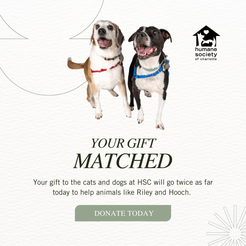 Donate & Support: Make a Gift | Humane Society of Charlotte